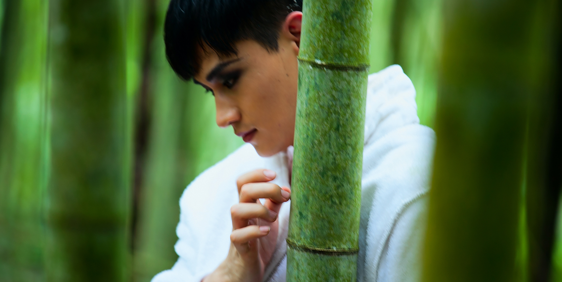 Adonis, aka Thirty Years of Adonis – scudfilms