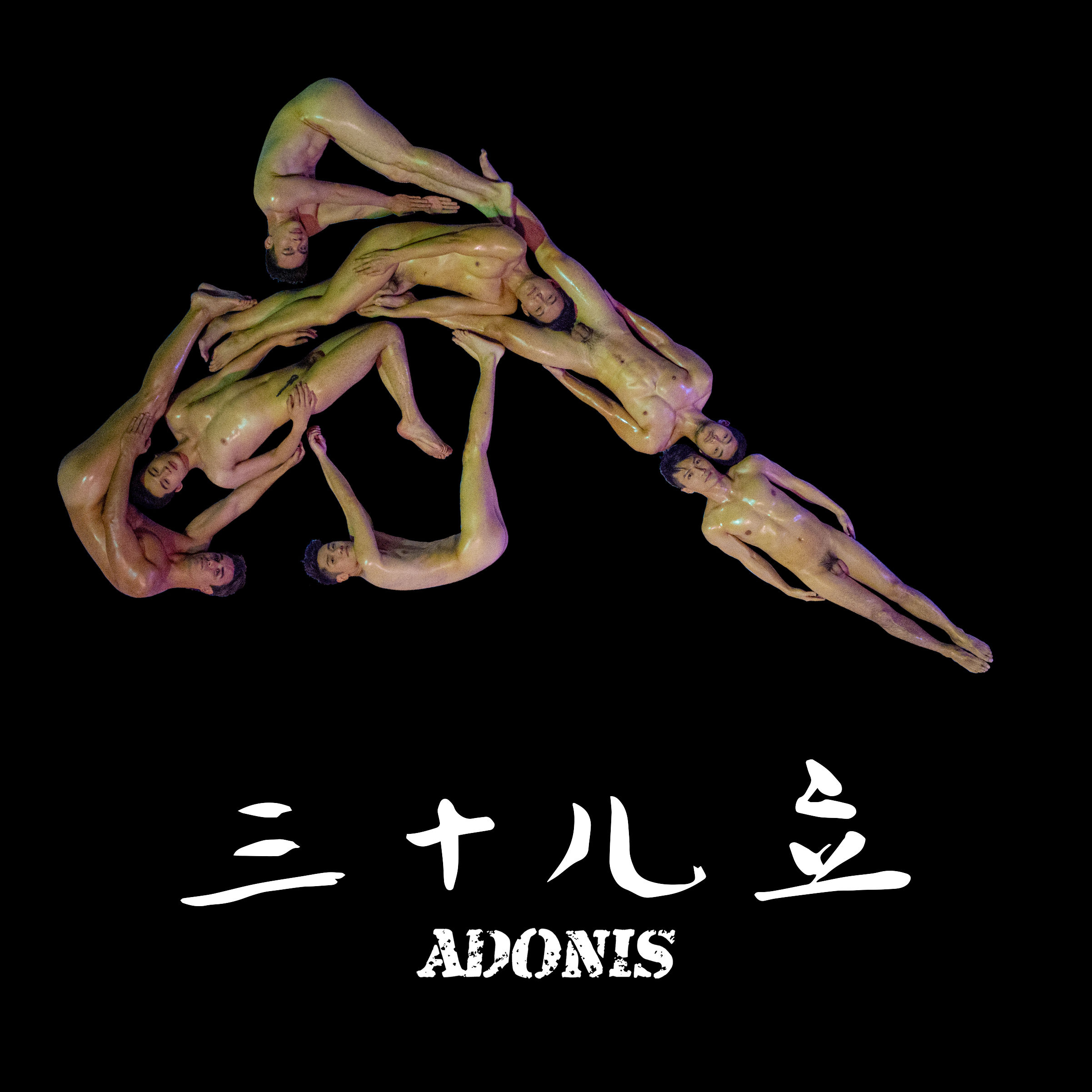 Adonis, aka Thirty Years of Adonis – scudfilms